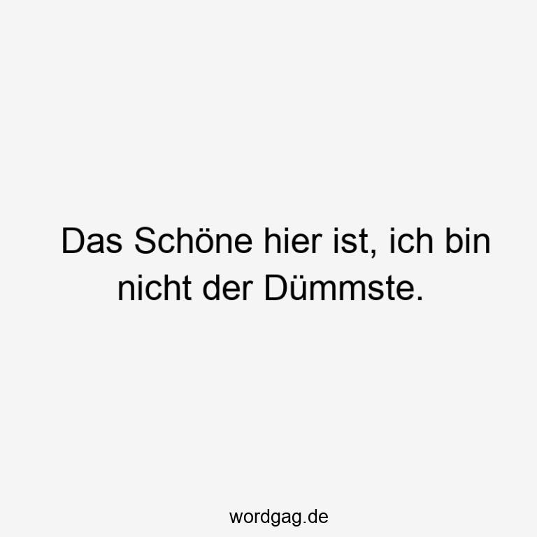 Das Schöne hier ist, ich bin nicht der Dümmste. – Wordgag ツ
