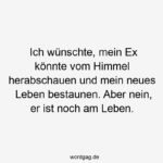 Ich wünschte, mein Ex könnte vom Himmel herabschauen und mein neues Leben bestaunen. Aber nein ...