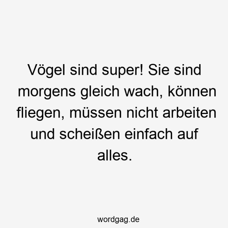 11 Lustige Scheißen Sprüche – Wordgag ツ