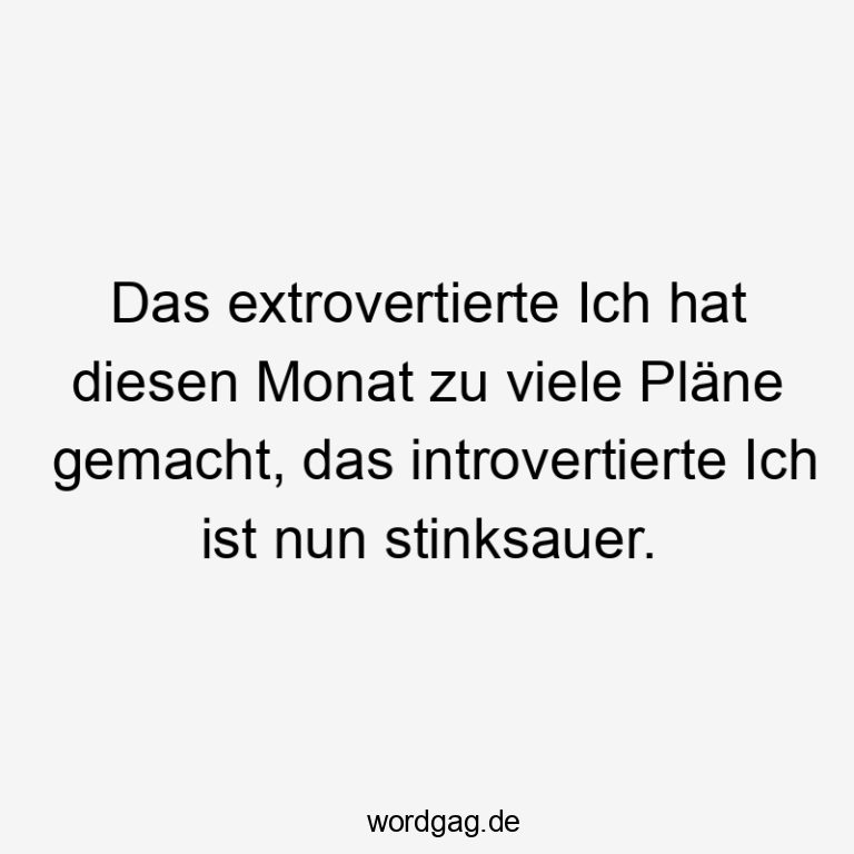 Das extrovertierte Ich hat diesen Monat zu viele Pläne gemacht, das ...